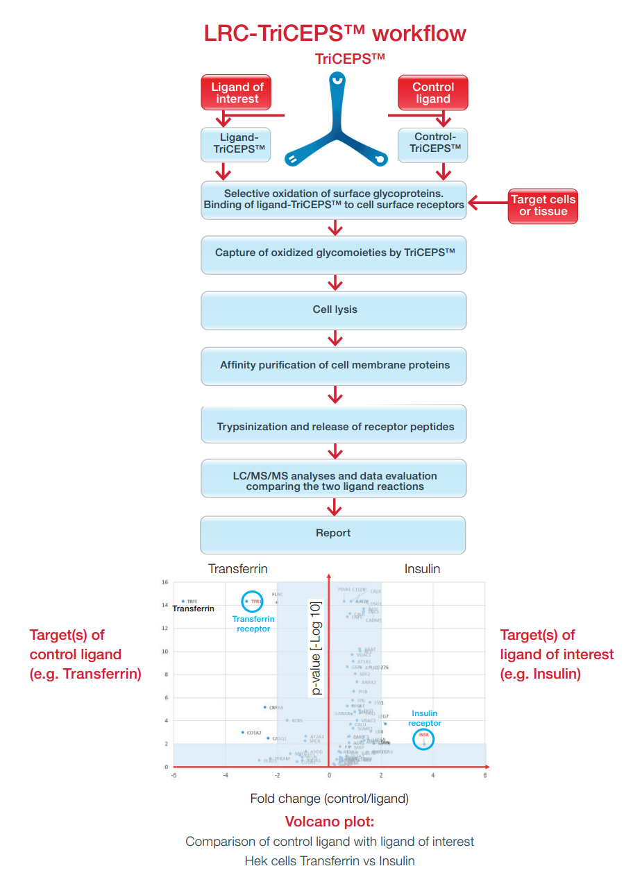Ligand-receptor capture technology, LRC-TriCEPS living cells