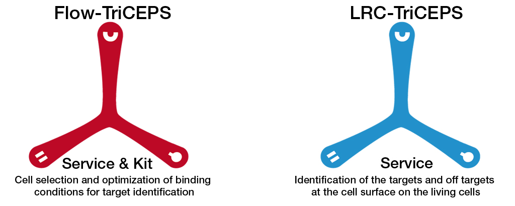 Dualsystems Biotech – Ligand-receptor capture technology LRC-TriCEPS on ...