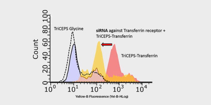 Target confirmation - Dualsystems Biotech AG