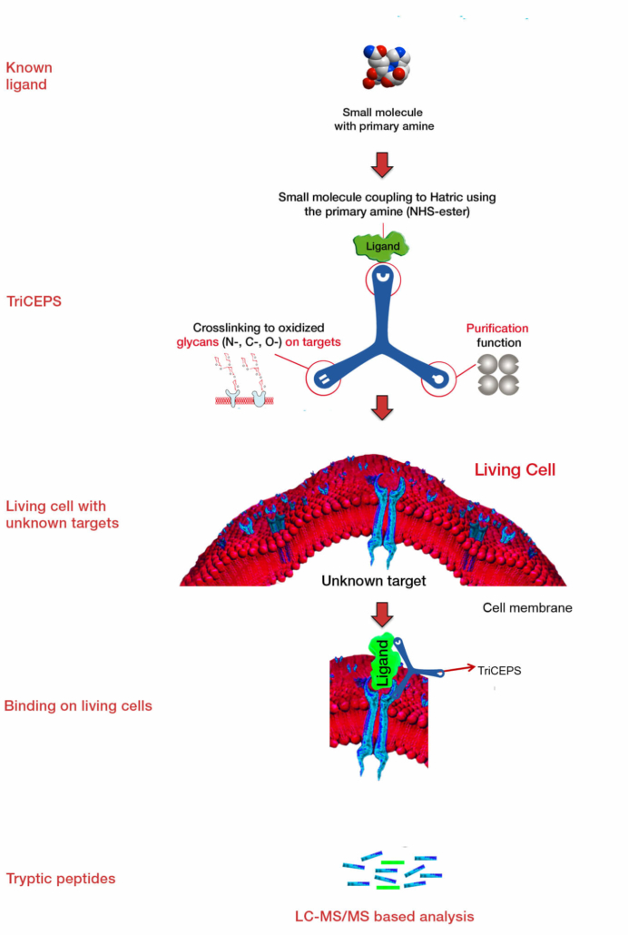 HATRIC-LRC - Dualsystems Biotech AG