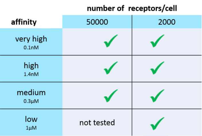 Affinity and Receptor expression