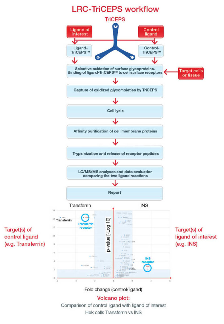 Ligand-receptor capture technology, LRC-TriCEPS living cells